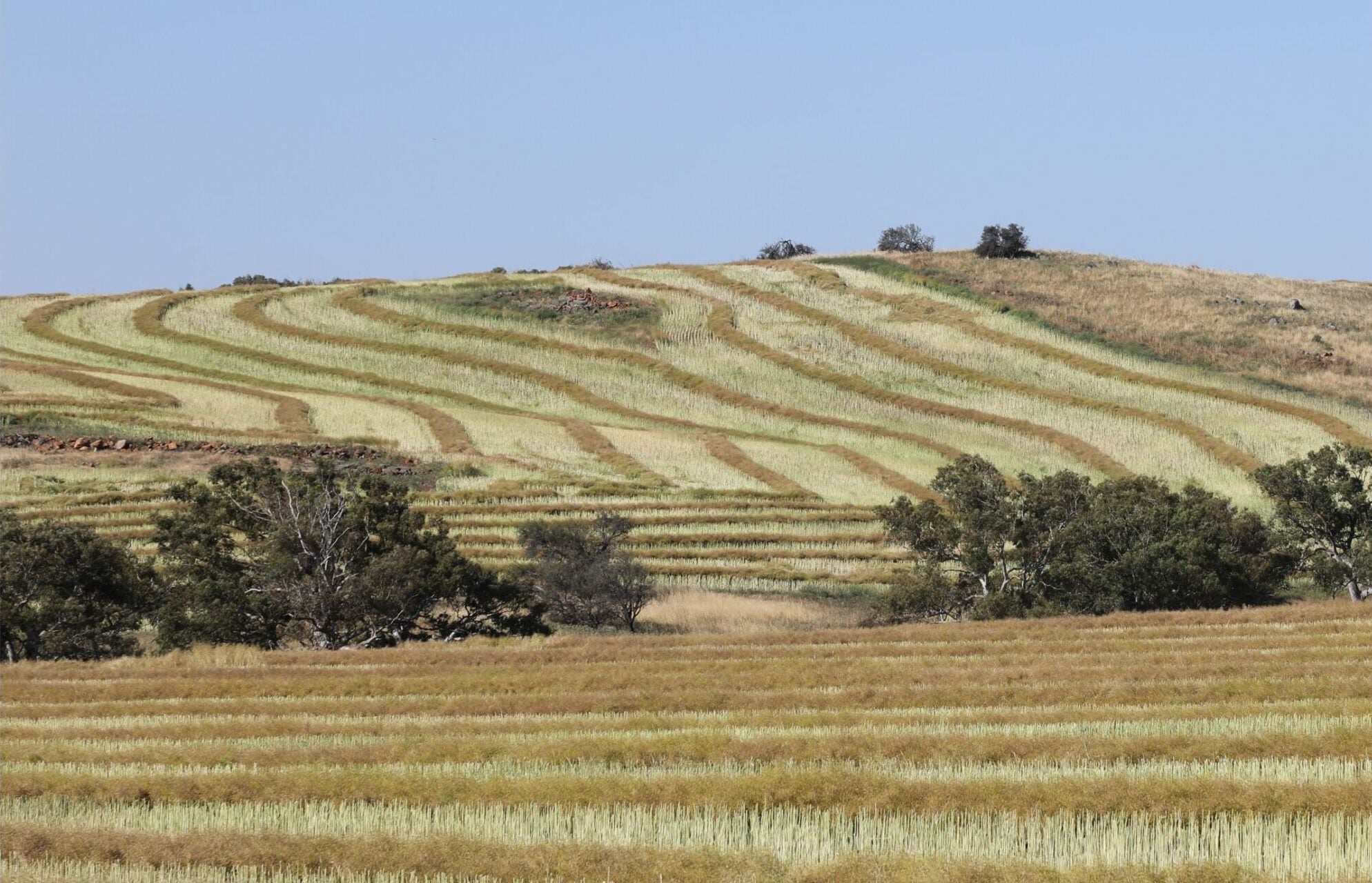 Agriculture – AUSTRALIAN DEMOCRATS